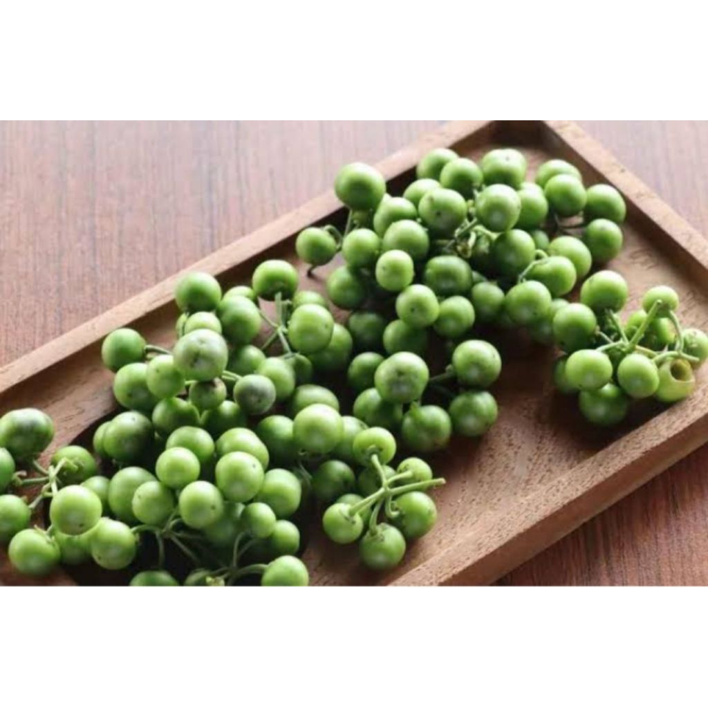 Jual buah leunca lalapan khas sunda 500 gram | Shopee Indonesia