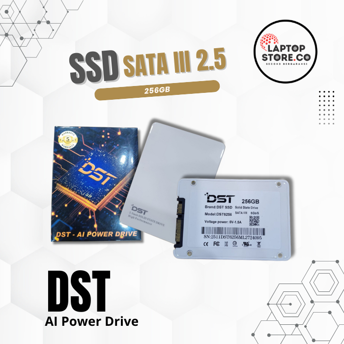 Jual NEW SSD Murah SSD SATA III 2.5 Inch DST 256GB Baru Bergaransi ...