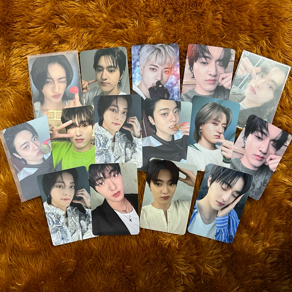 Jual PC OFFICIAL HARUTO TREASURE (BACA DESKRIPSI) | Shopee Indonesia