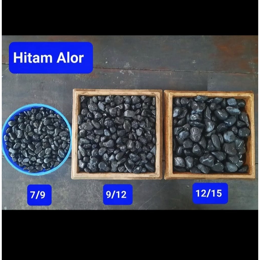 Jual Batu Hitam Alor (Batu Koral Sikat, Batu Hias Taman, Batu Hias ...