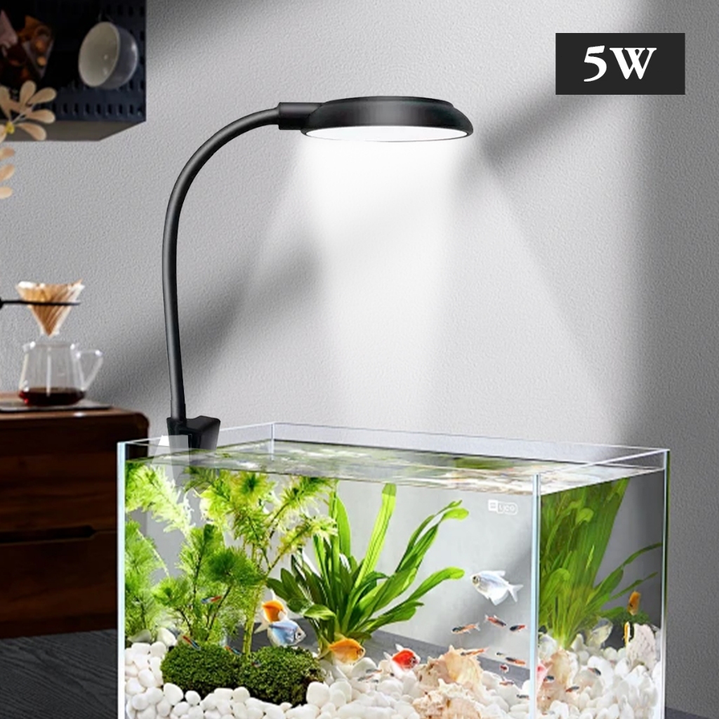 Jual Lampu Jepit 3mode Warna Hitam Putih Led Aquarium Aquascape Mini ...