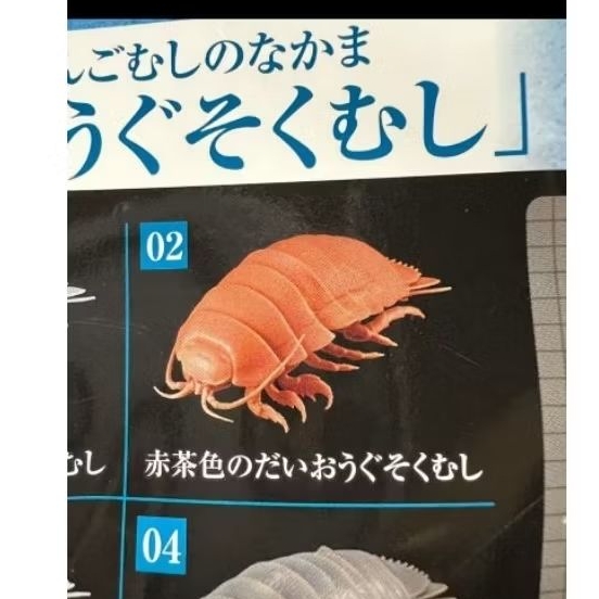 Jual daiougusokumushi figure giant sea isopod bandai japan capsule toy ...