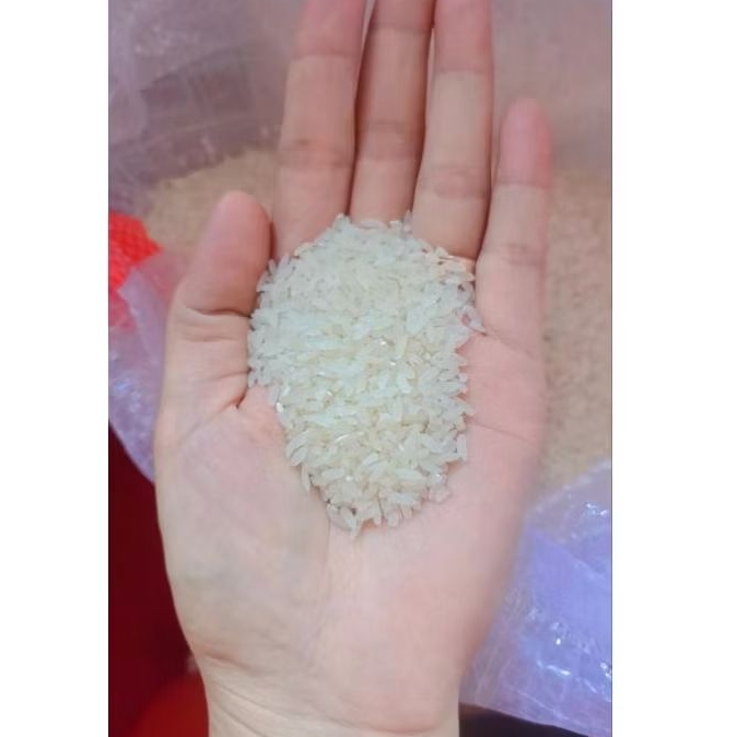 Jual Beras Padang Anak Daro 1 kg | Shopee Indonesia