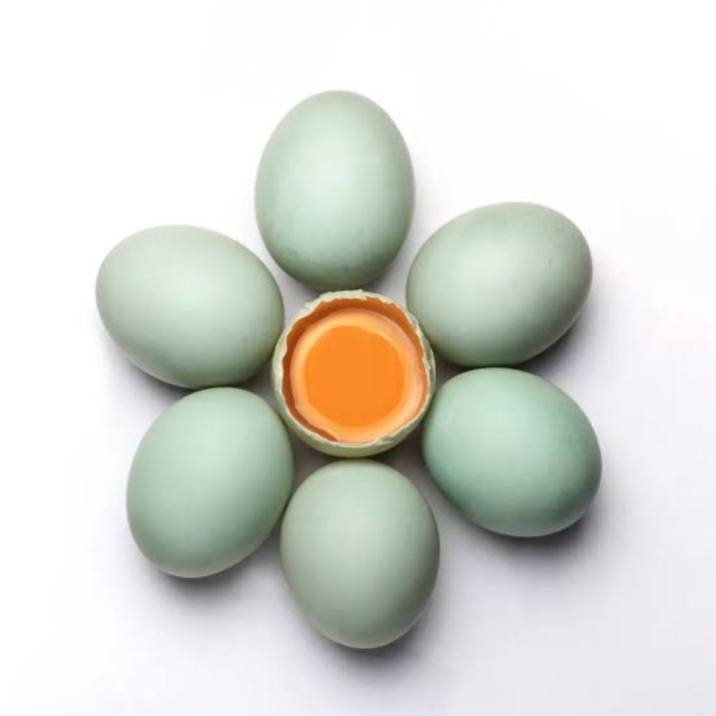 Jual Telor Bebek Mentah Asli (Maksimal Order 12 Butir) | Shopee Indonesia