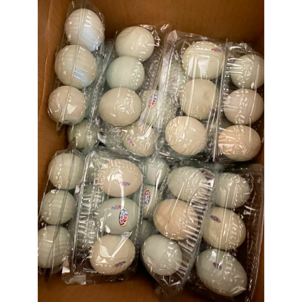 Jual Telur Asin Masir Tinggi Protein (1 paket isi 3 butir) - Made in ...