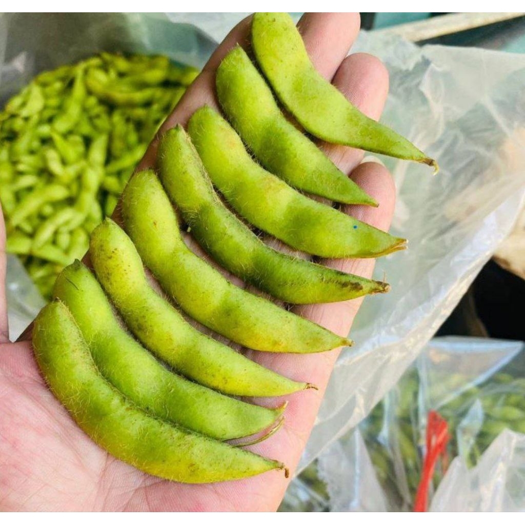 Jual EDAMAME FRESH 1KG | Shopee Indonesia
