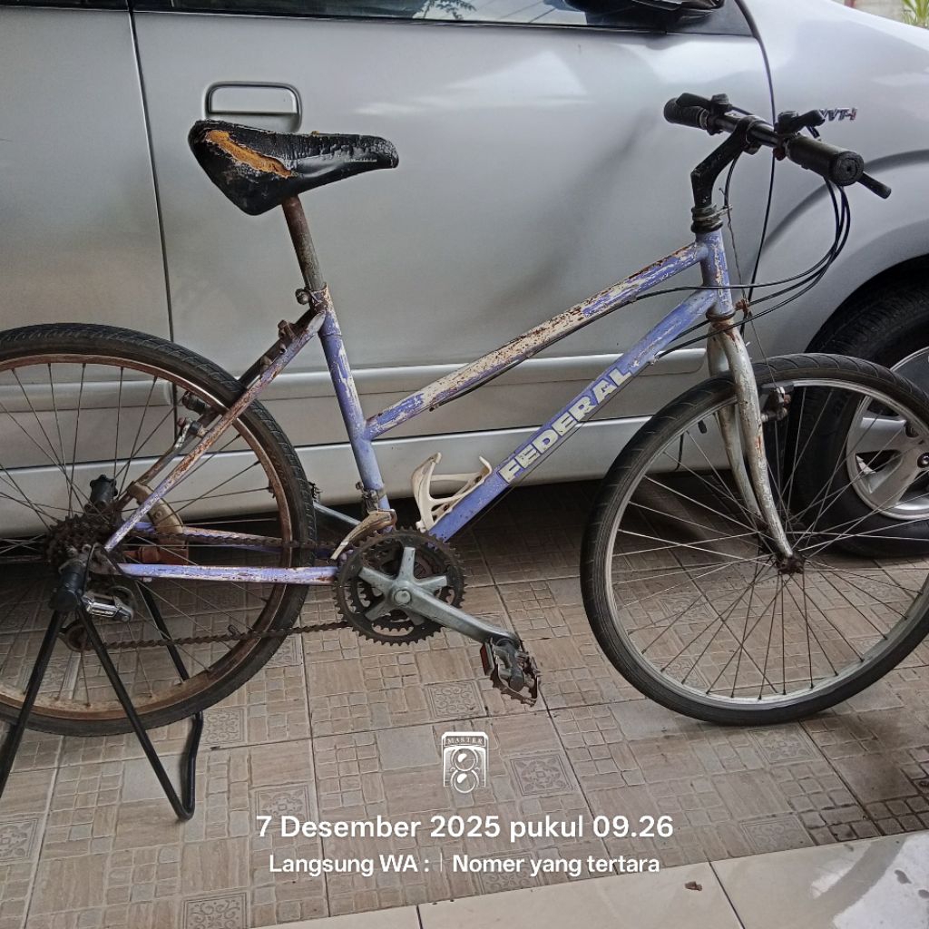Jual Sepeda Federal Lady Original Serial Number | Shopee Indonesia