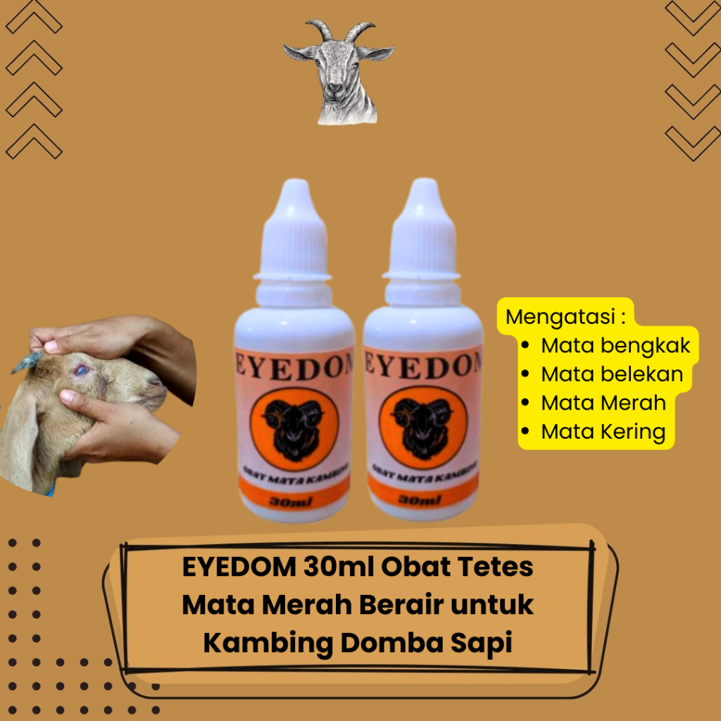 Jual EYEDOM Obat Mata Merah Kambing Domba Sapi Ternak Solusi Atasi Mata ...