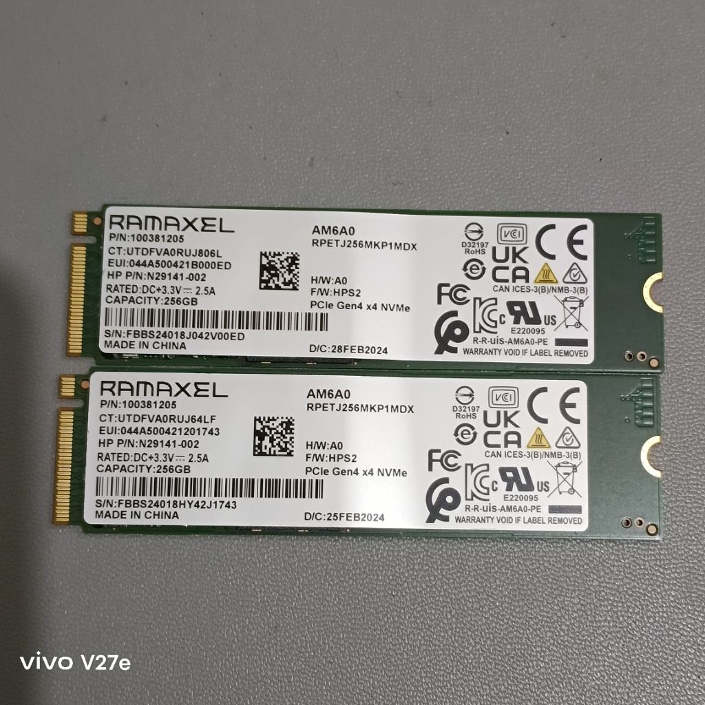 Jual SSD M2 NVME 255GB RAMAXEL GEN 4 100% | Shopee Indonesia