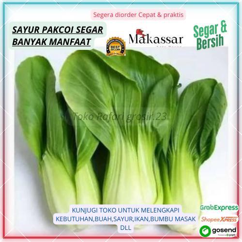 Jual Sayur Pakcoy Segar–Hijau Fresh Makassar, Renyah & Tidak Layu ...
