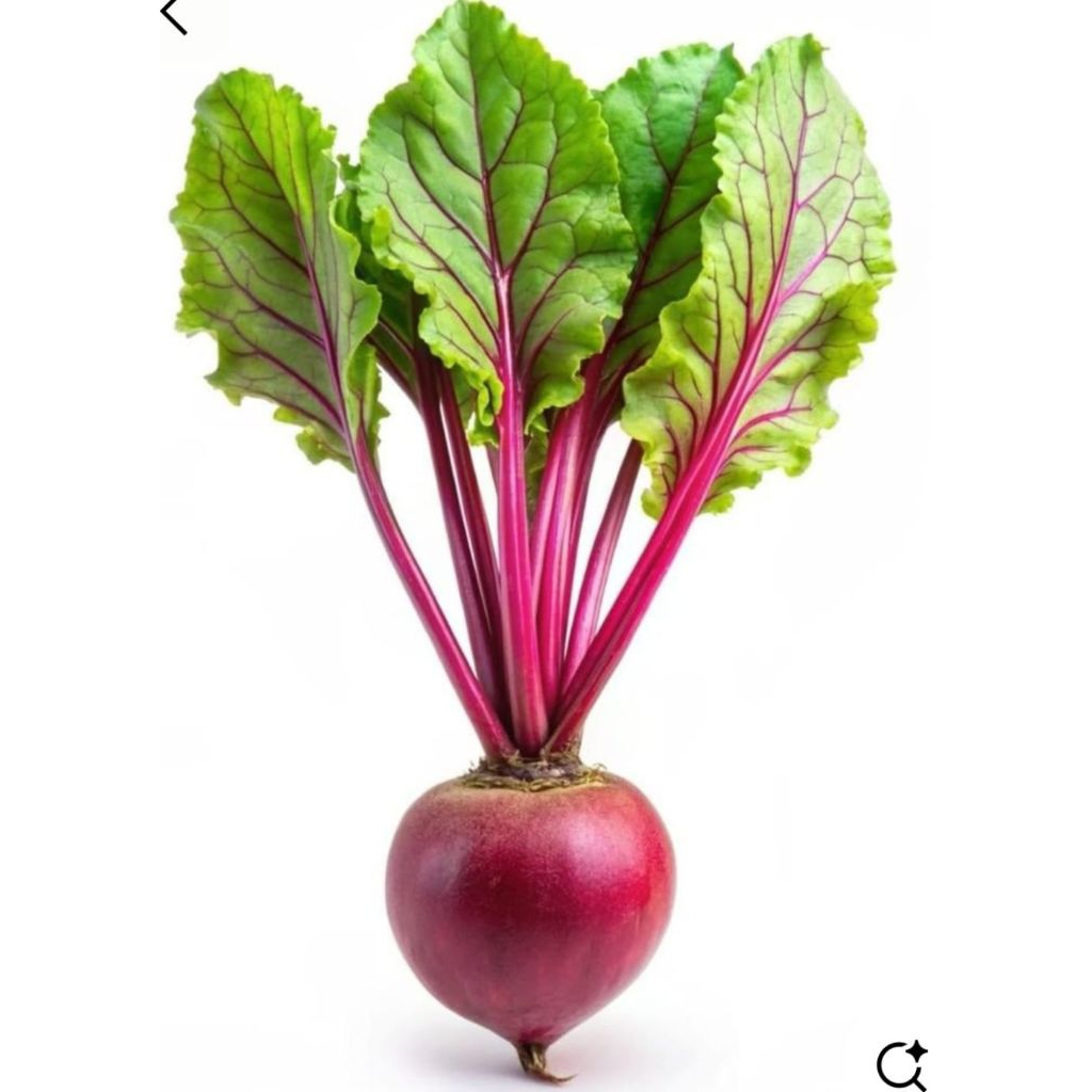 Jual buah bit segar 1 kg | Shopee Indonesia