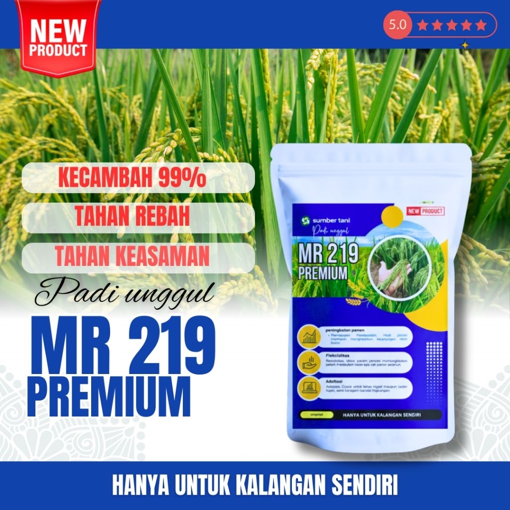 Jual BENIH PADI MR 219 ASLI KEMASAN 1KG ( benih padi mr 219 umur 85-95 ...