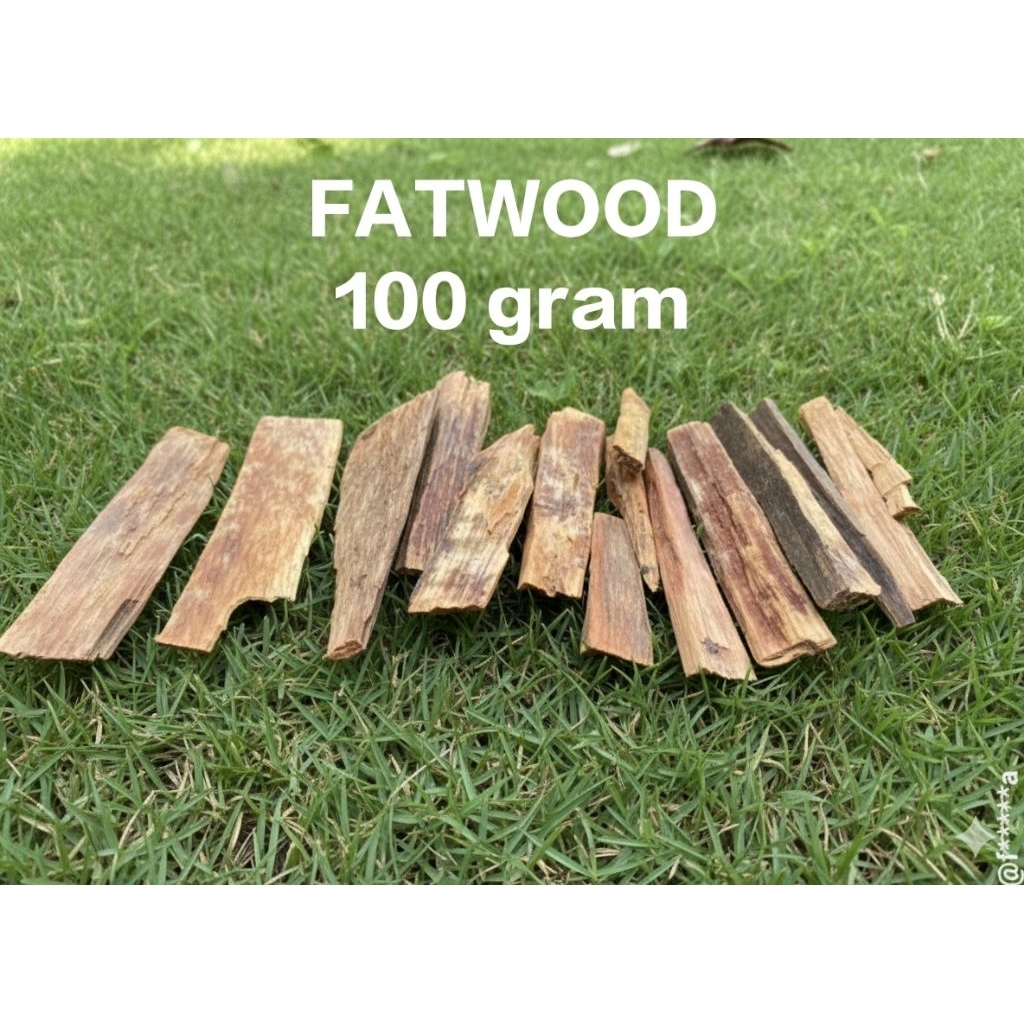 Jual Fatwood/fire starter/bushcraft 100 gram | Shopee Indonesia