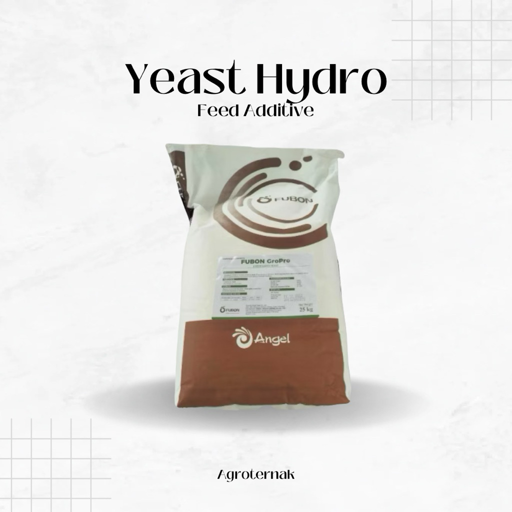 Jual Yeast Powder Hydrolyzed 500g Probiotik Ragi Saccharomyces Aditif ...