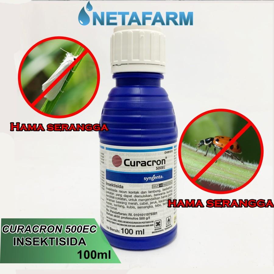Jual Insektisida Profenofos CURACRON 500EC Syngenta 100ml | Shopee ...