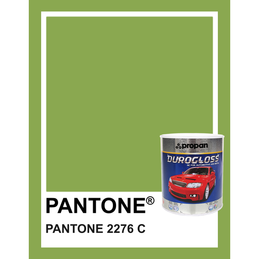 Jual CAT PROPAN DUROGLOSS NC 1 LT - PANTONE 2276 C | Shopee Indonesia
