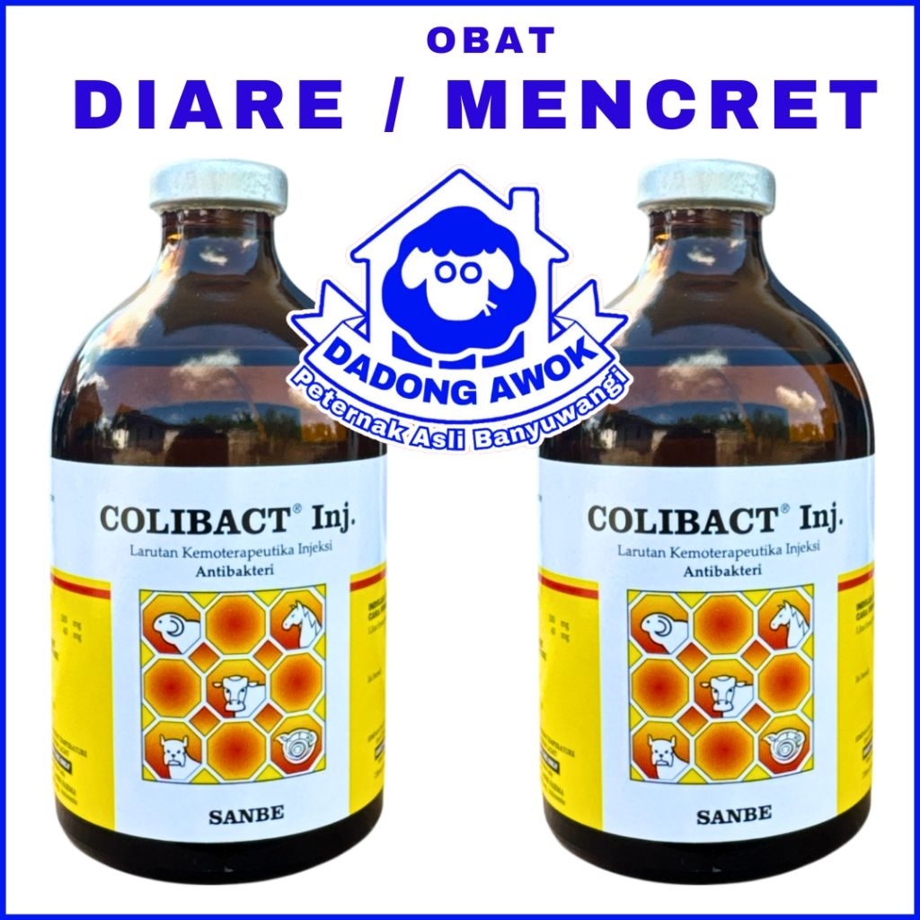 Jual COLIBACT injek 100ml Obat DIARE BATUK PILEK pernafasandan ...