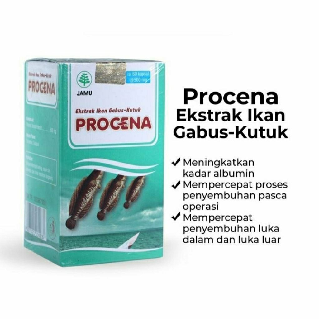 Jual PROCENA Ikan Kutuk - Ikan Gabus isi 60 Kapsul Albumin Prochanna ...