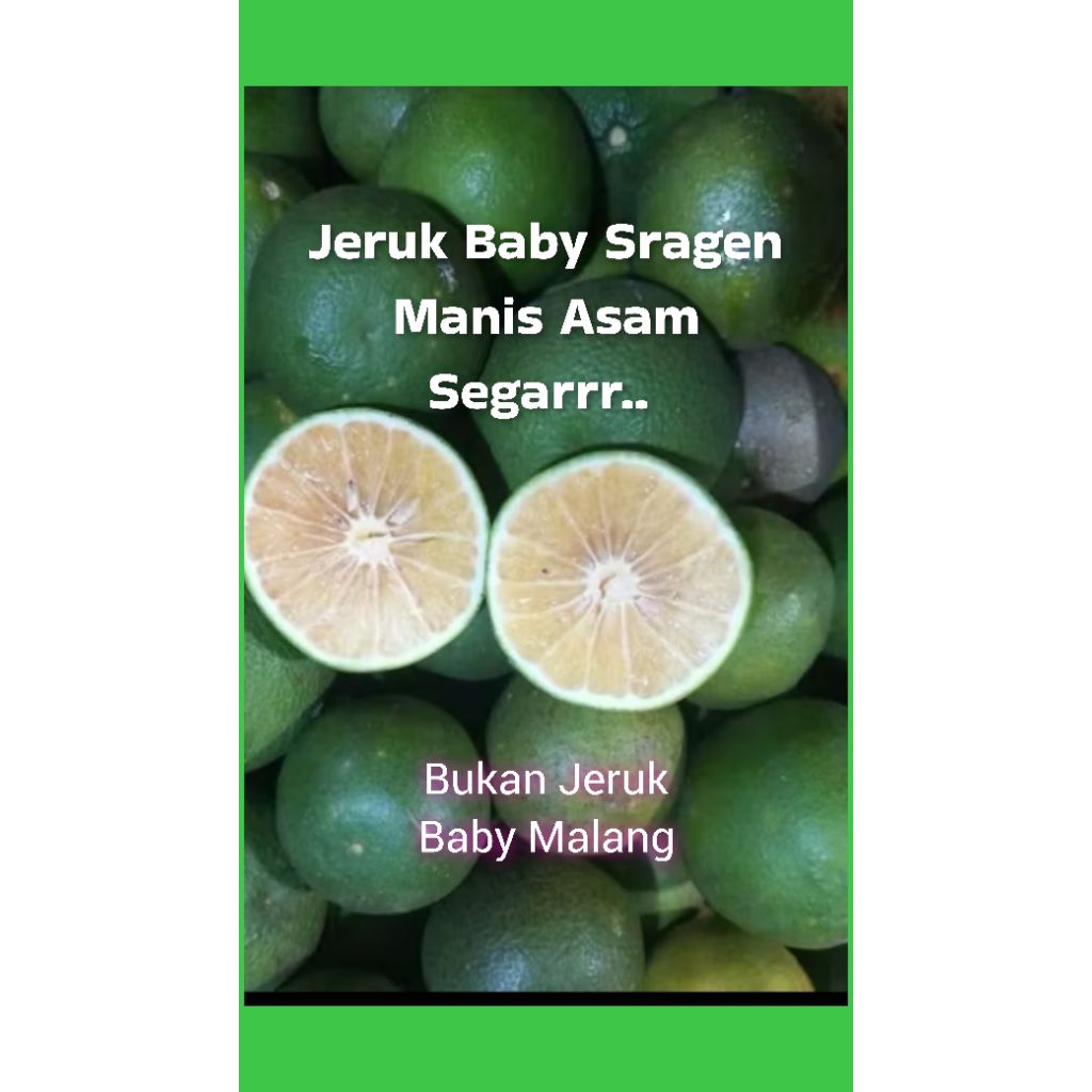 Jual JERUK BABY SRAGEN, ASAM MANIS SEGARR 1Kg (Jeruk Bali Mini /Bukan ...
