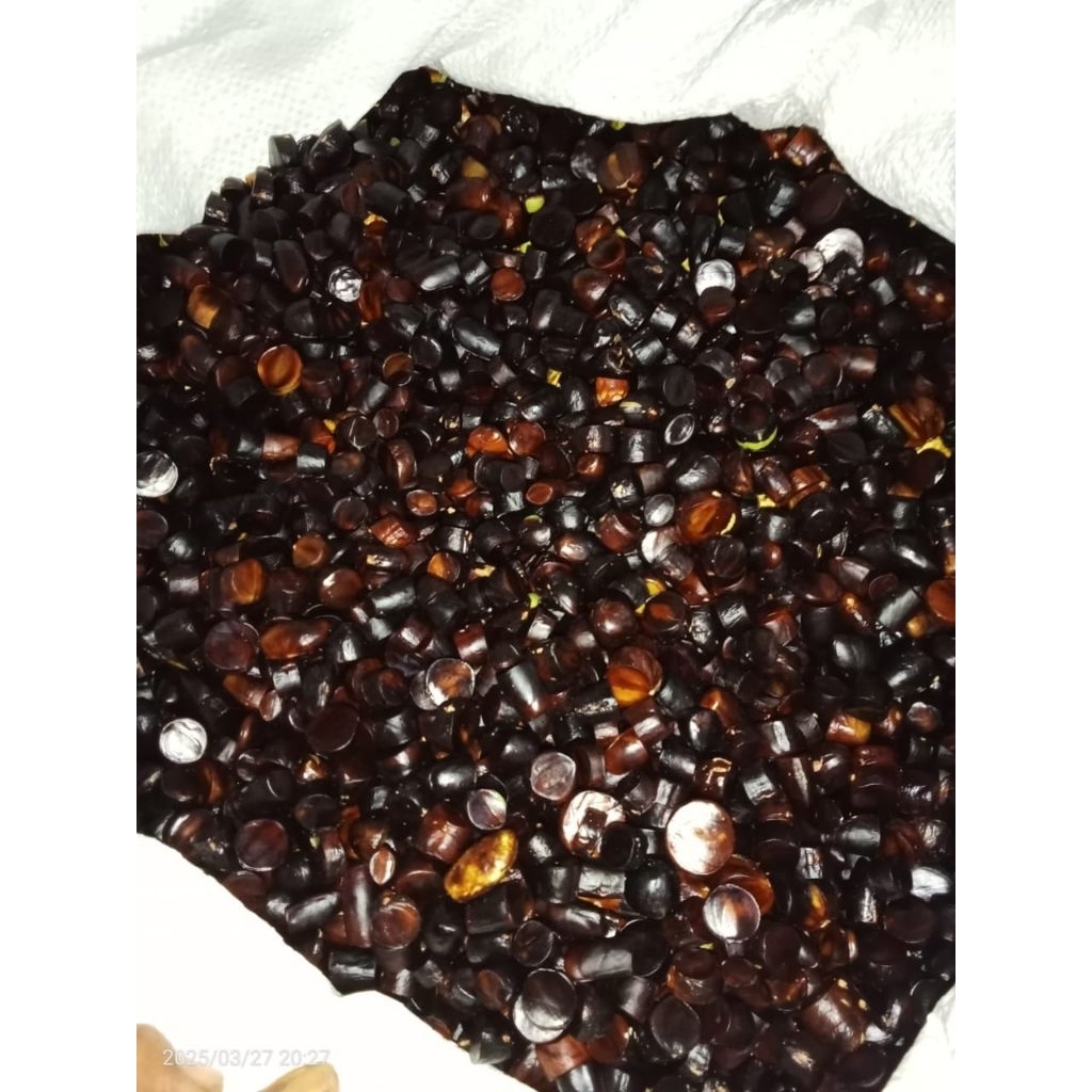 Jual kabau habo jolang jaling kuwaw | Shopee Indonesia