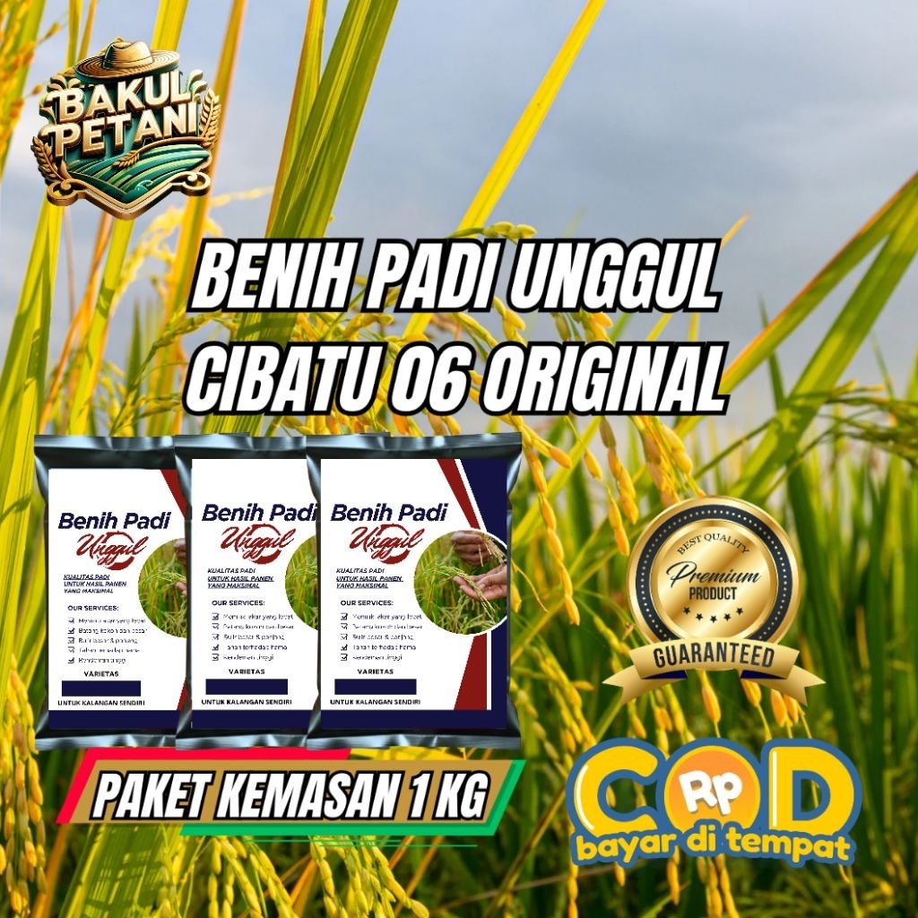 Jual BENIH PADI CIBATU 06 ORIGINAL TERBARU KEMASAN 1KG | Shopee Indonesia