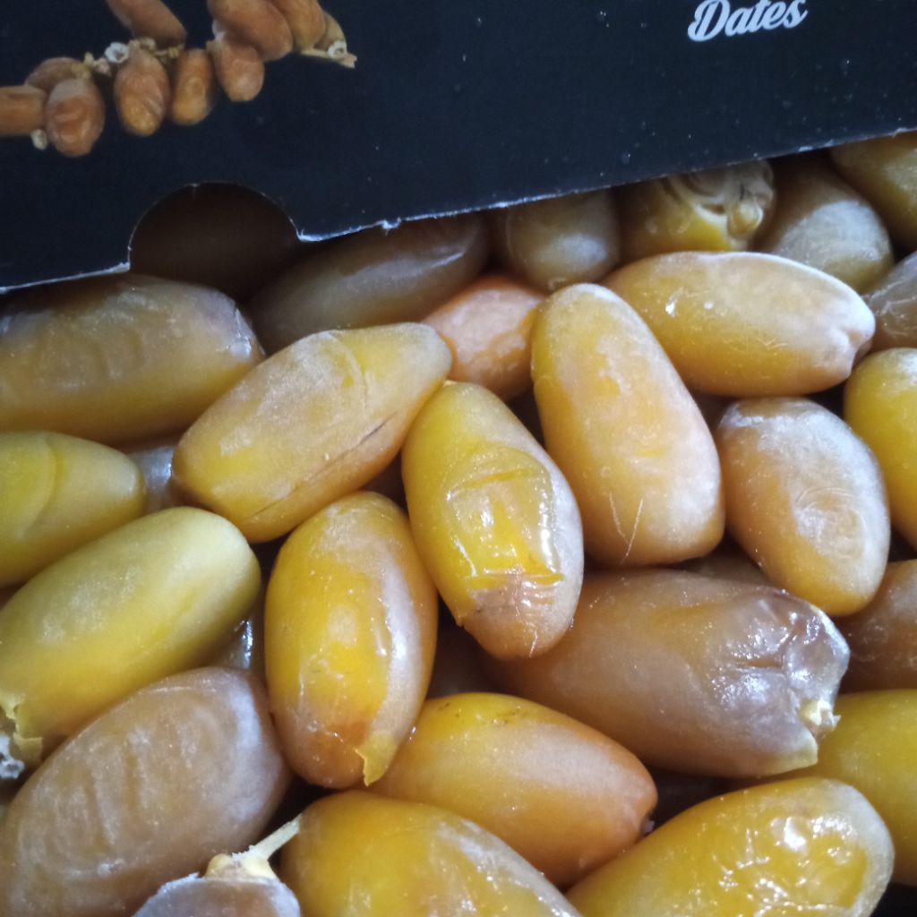 Jual Kurma Ruthob Libya Kurma Muda Ruthob 1 Kg | Shopee Indonesia