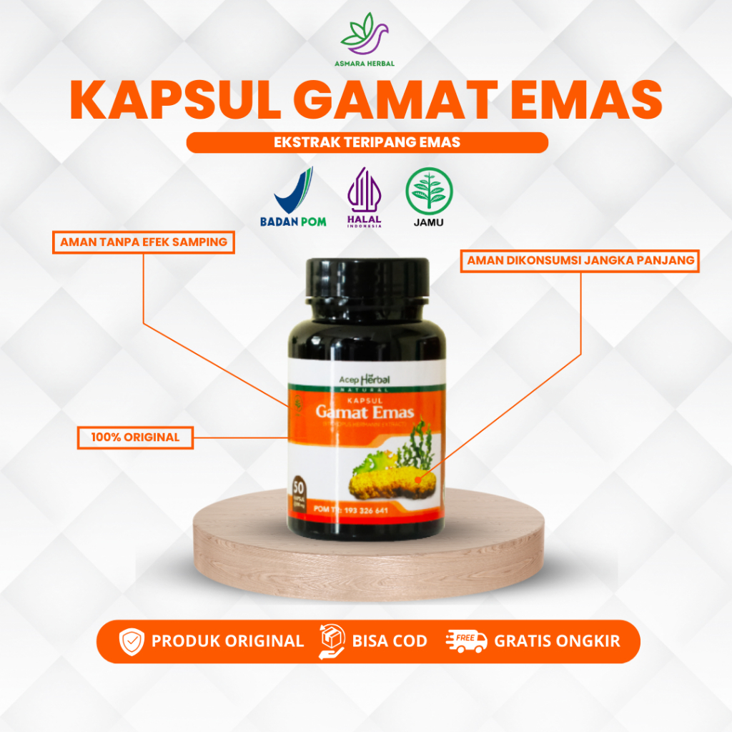 Jual KAPSUL GAMAT EMAS Ekstrak Teripang Emas Asli Isi 50 Kapsul - BPOM ...