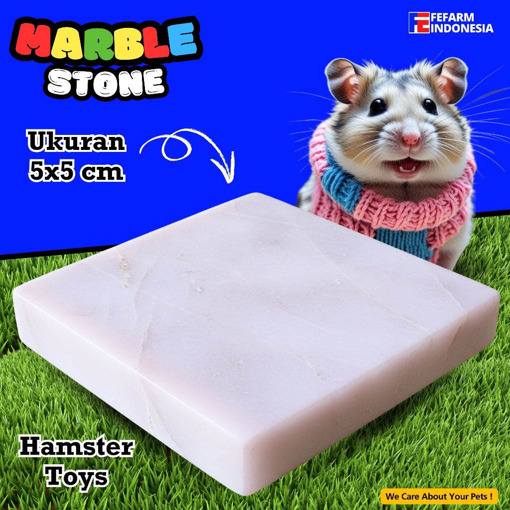 Jual MARBLE PAD - Marble Cooling Pad Hamster Pendingin Hamster Alas ...