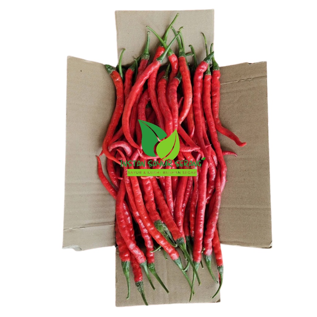 Jual INSTAN Cabai - Cabe Merah Kriting Segar | Shopee Indonesia
