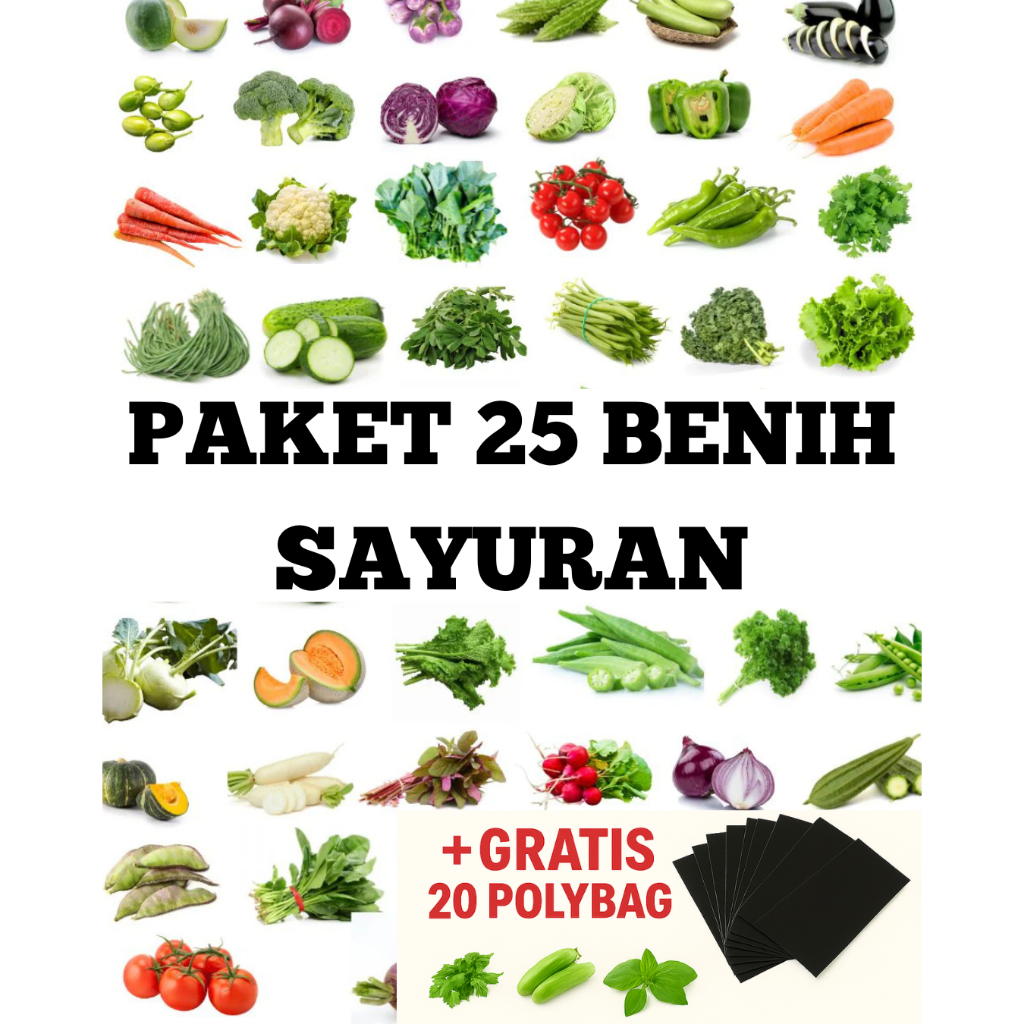 Jual PAKET 25 MACAM BENIH + 20 POLYBAG BIJI BENIH SAYUR SAYURAN BUAH ...