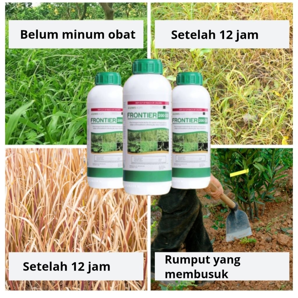 Jual Herbisida Frontier 200 OD Obat Rumput Padi Sawit Gulma Ampuh Lebih ...
