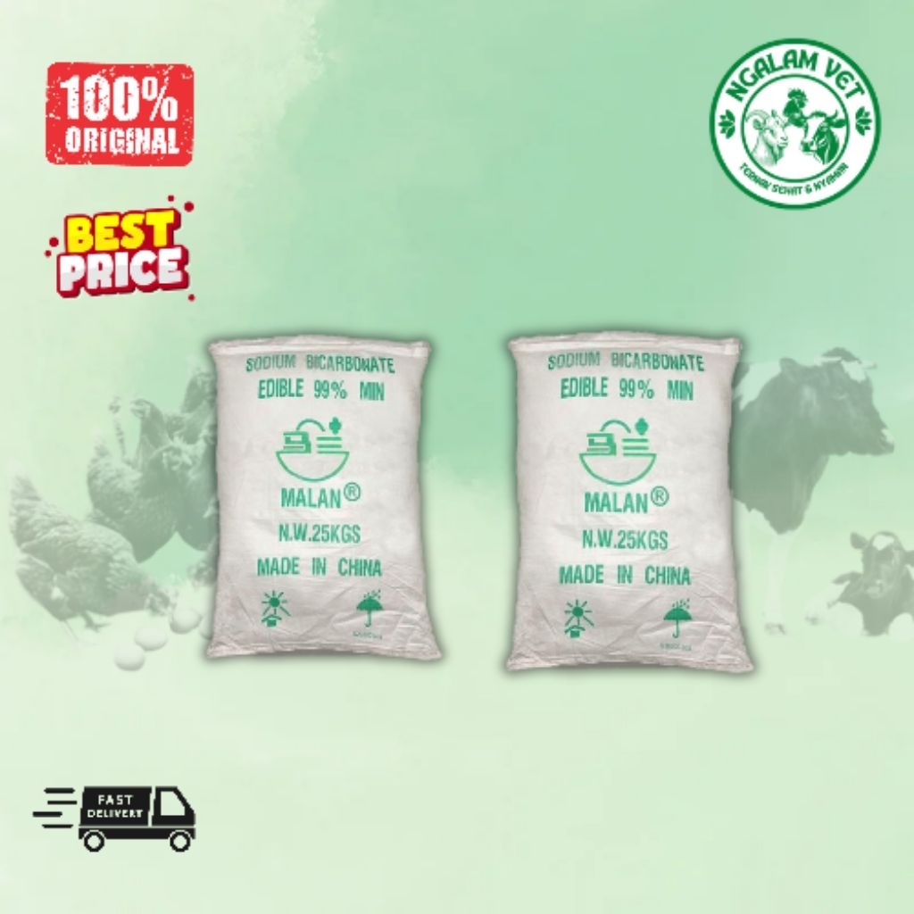 Jual Soda kue / Sodium Bicarbonate ( 1Kg ) EX Malan - Baking Soda Food ...