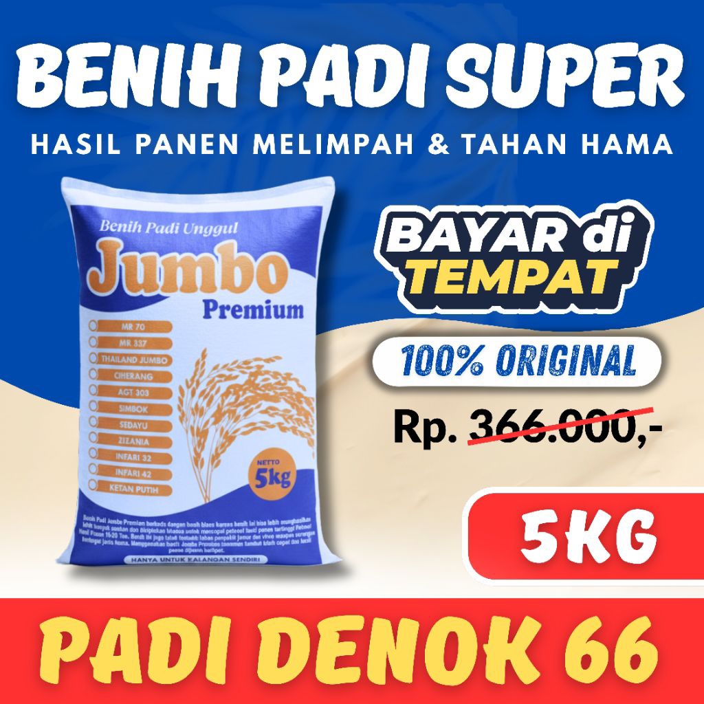 Jual Padi Unggul Denok 66 1KG - 5 Kg Premium Benih Padi Denok 66 ...