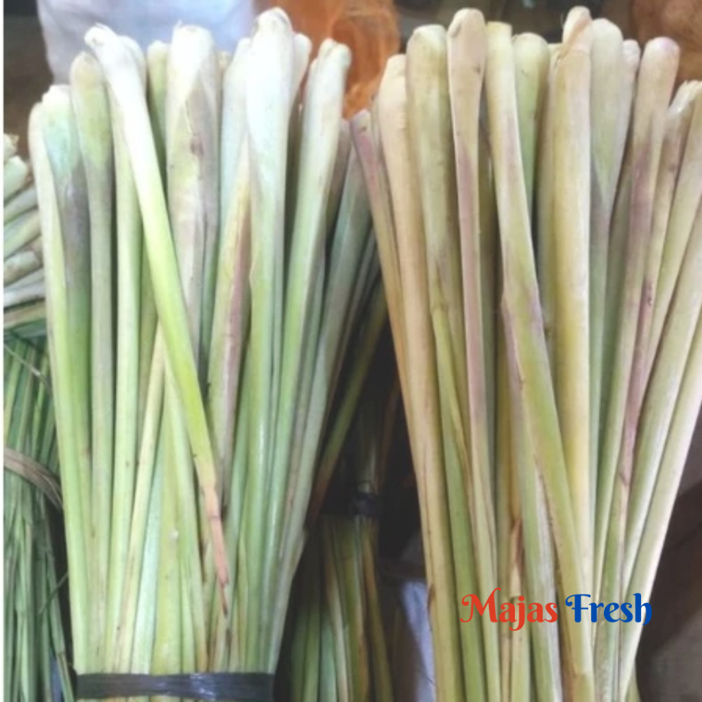 Jual SEREH BANGKOK Segar - Batang Serai Besar Fresh | 1.000gr [ Harga ...