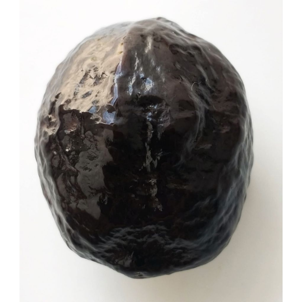 Jual Kemiri Muncang aduan jenis JALIM SUPER | Shopee Indonesia