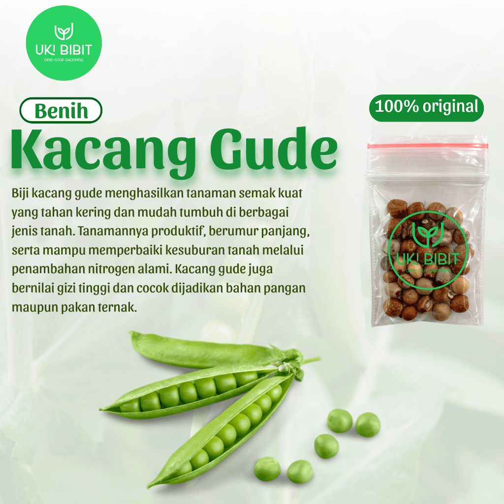 Jual ( 10 Butir ) Benih Biji Kacang Gude | Kacang Hiris | Kacang Kayo ...