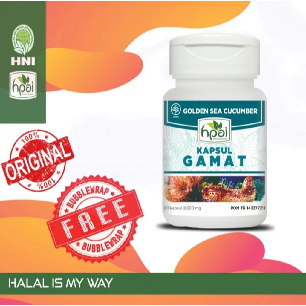 Jual Gamat Kapsul HNI Mengatasi Sakit Pinggang Suplemen Tulang dan ...