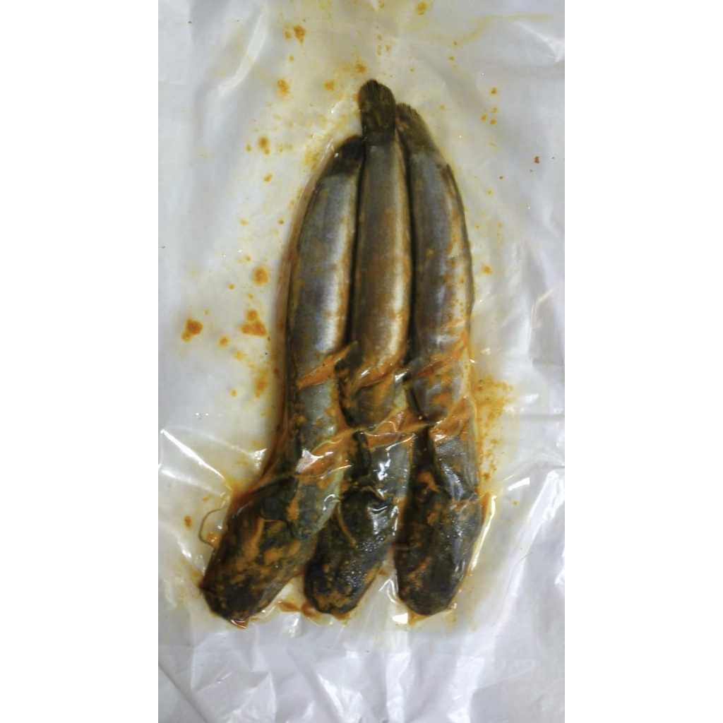 Jual Lele Bumbu Kuning Frozen – Ikan Lele Siap Goreng | Gurih & Praktis ...