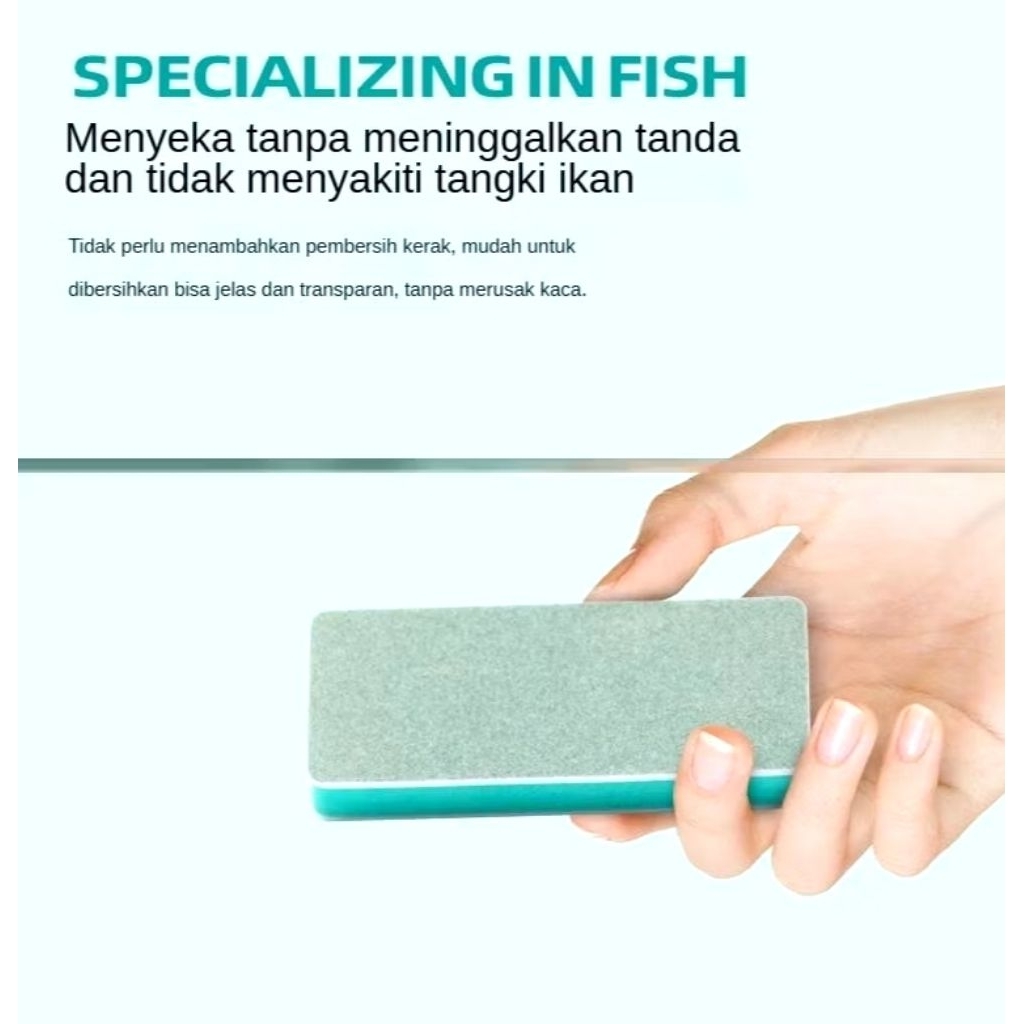 Jual spon hijau pembersih kerak kaca akuarium | Shopee Indonesia