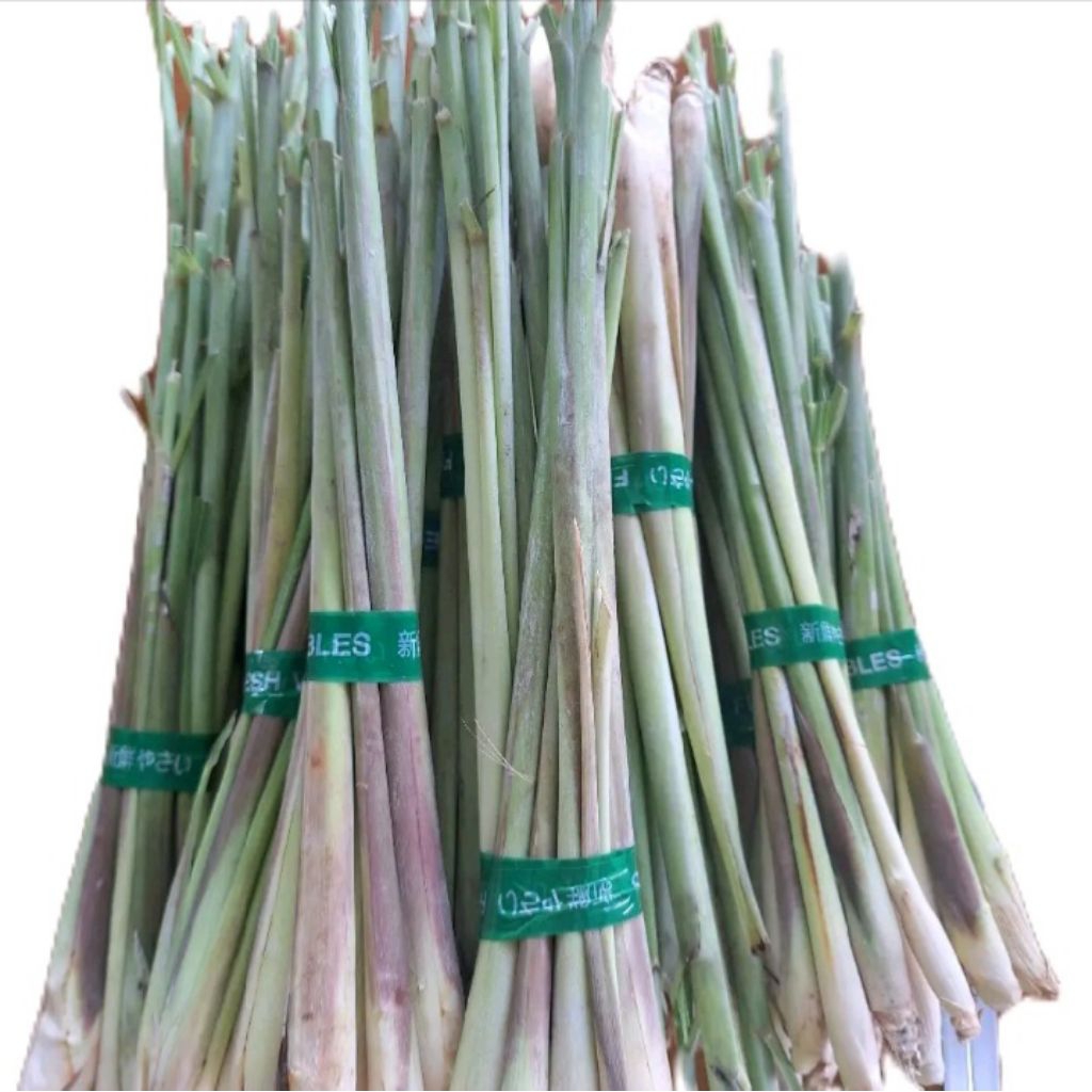 Jual Serai / Sereh segar fresh 1 ikat 250 gram Kualitas Premium dari ...