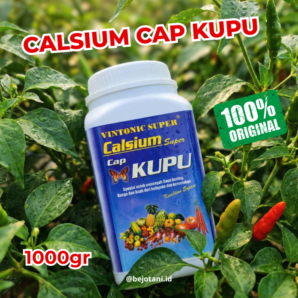 Jual Pupuk CALSIUM CAP KUPU 1kg Kalsium Meningkatkan Kesehatan Tanaman ...