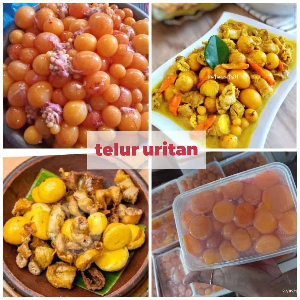 Jual Uritan telur ayam, telur ayam muda fresh beku berat 1 kg | Shopee ...