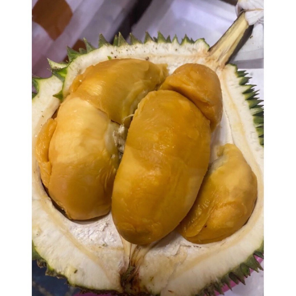 Jual DURIAN MONTONG BLACK THORN / DURIAN DURI HITAM 500 GRAM ASLI ...