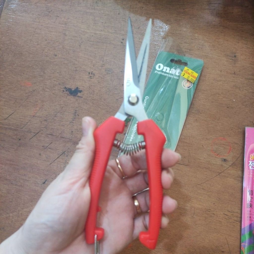 Jual gunting dahan lurus/gunting serba guna lurus gunting seng .bie bie ...