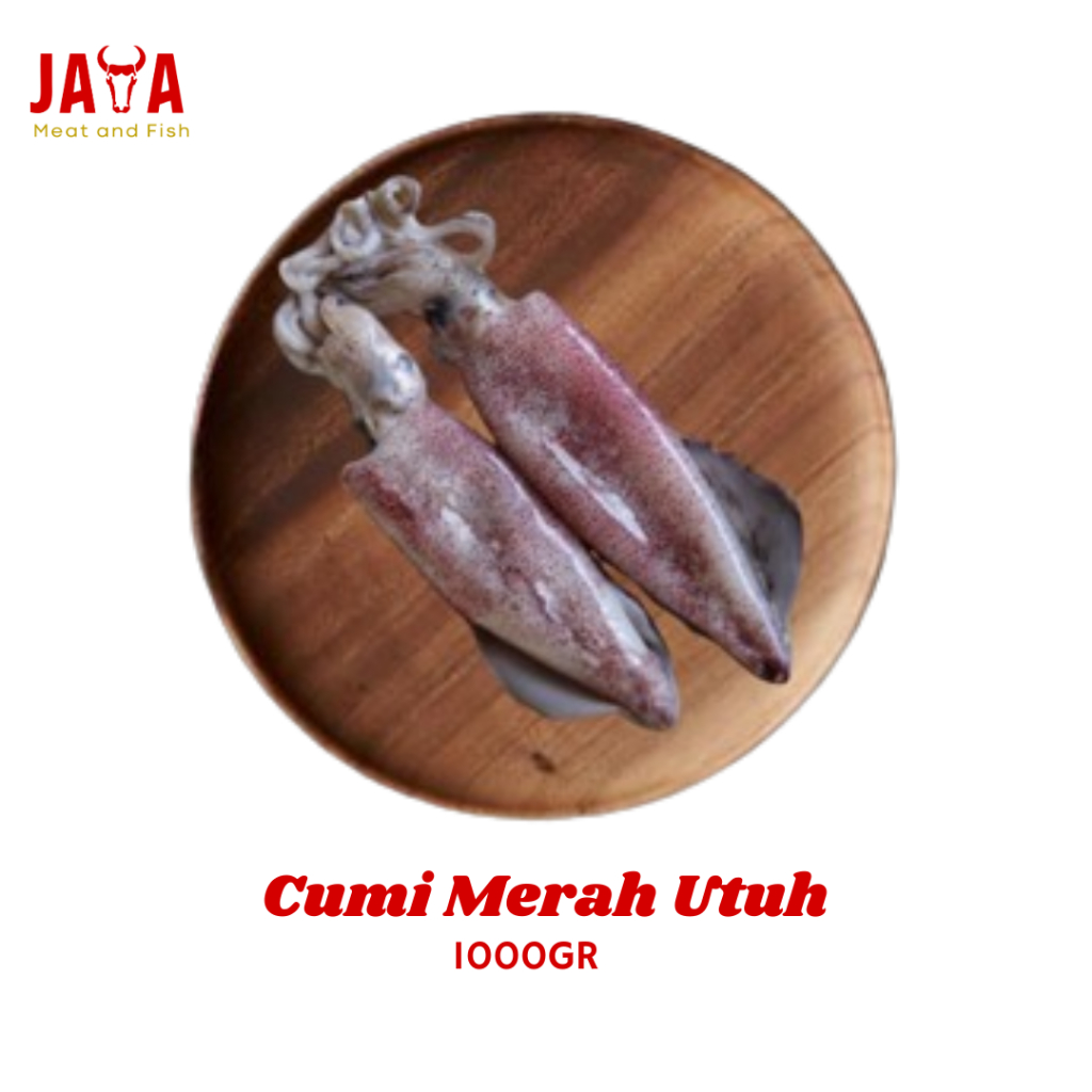 Jual Cumi Merah Segar 1 Kg | Cumi Besar Fresh 1 Kg | Shopee Indonesia