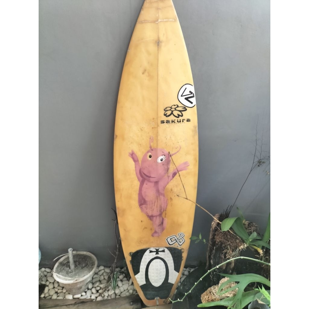Jual papan Surfing bekas | Shopee Indonesia