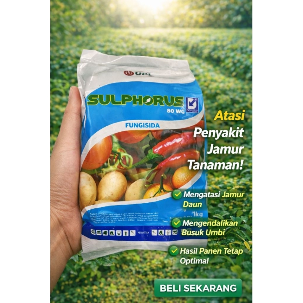 Jual Fungisida sulphorus 80WG belerang ukuran 1kg | Shopee Indonesia