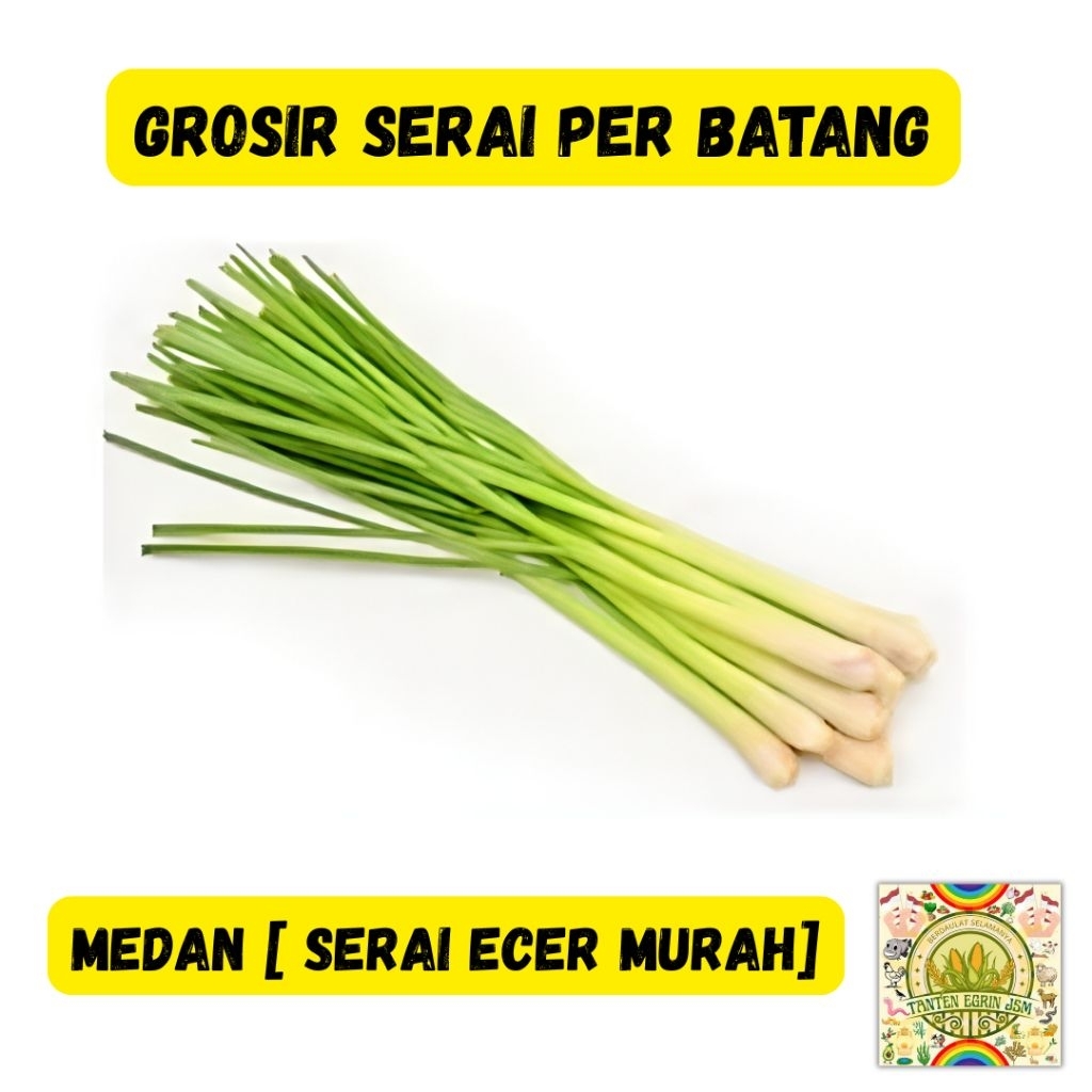 Jual SERAI SEGAR PER BATANG langsung dari petani- SEREH MURAH BAGUS ...