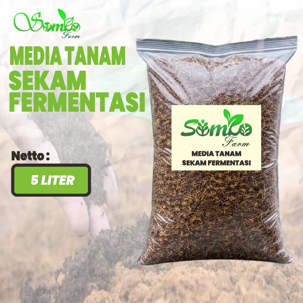 Jual Sombo Farm - Media Tanam Sekam Fermentasi 5 Liter Cocok Untuk ...