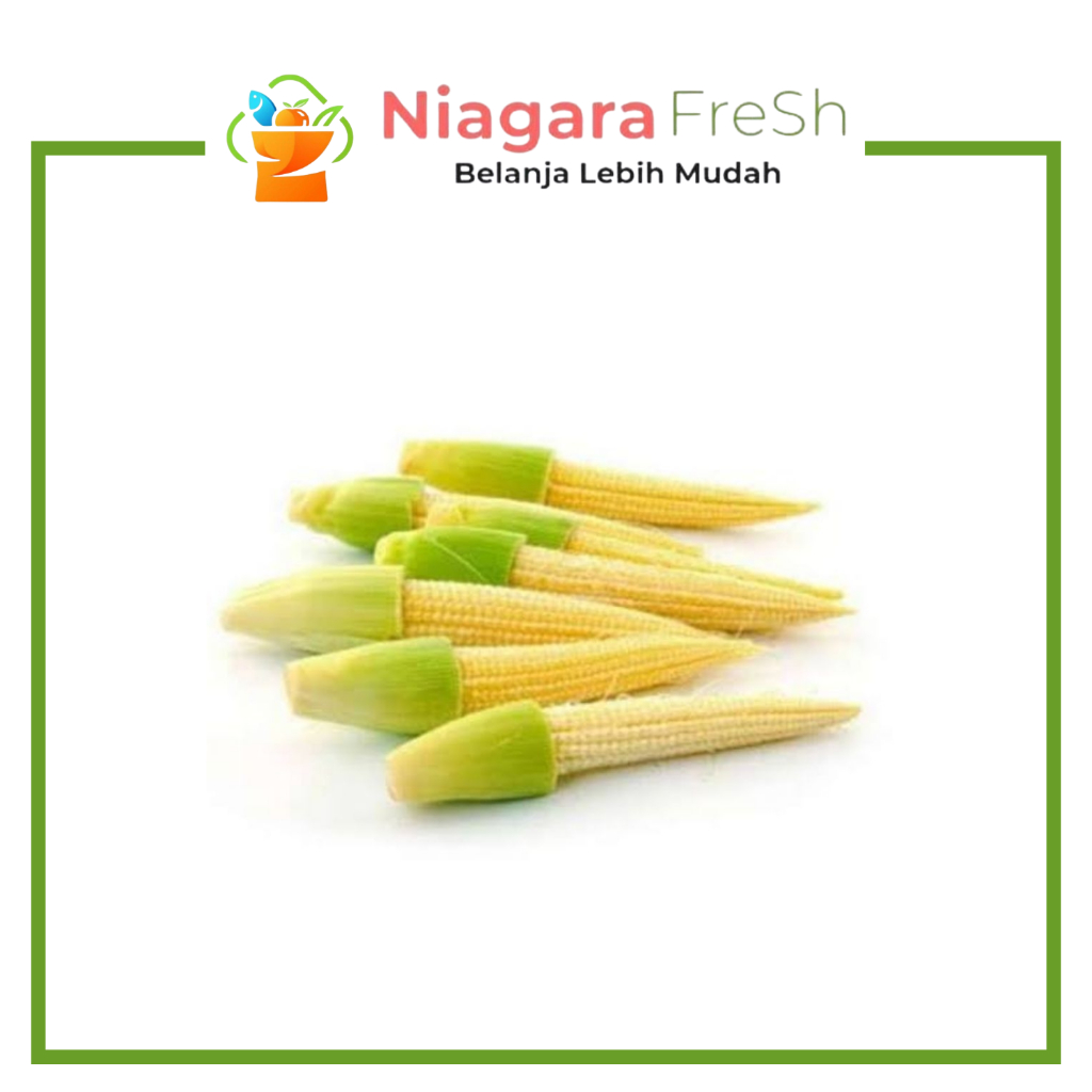 Jual Baby Corn / Jagung Muda Segar / Janten - 250gr / 500gr / 1kg ...